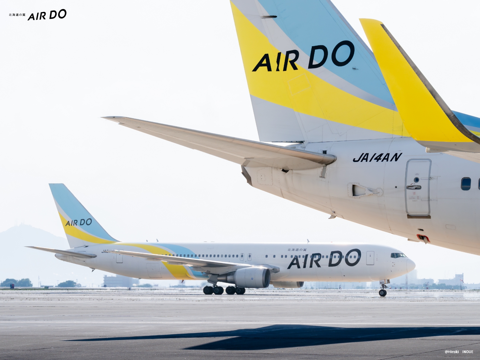 Wallpaper of the Month | Download | Official AIRDO website : Visit ...