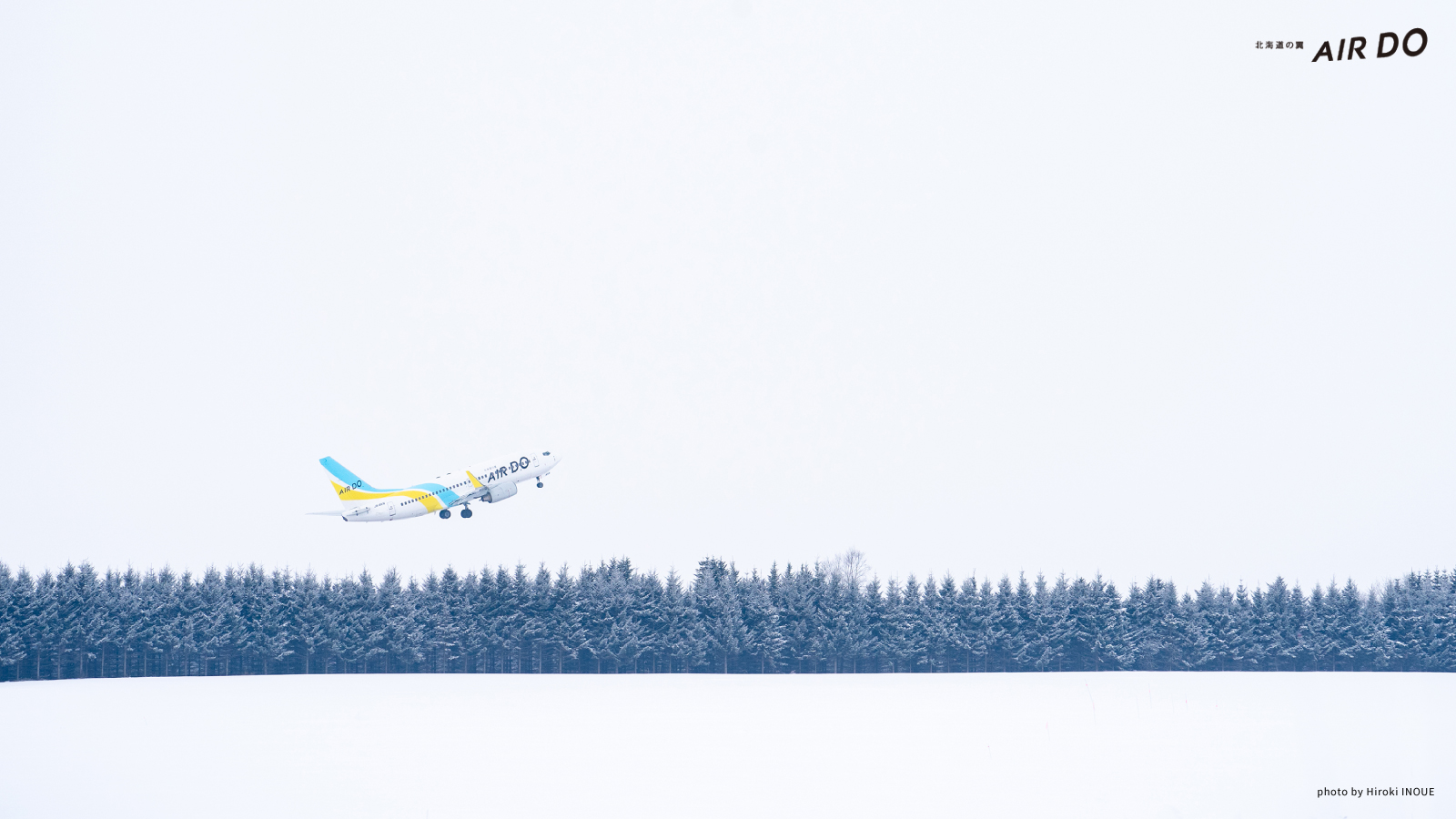 Wallpaper of the Month | Download | Official AIRDO website : Visit ...