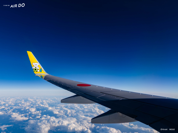 Wallpaper of the Month | Download | Official AIRDO website : Visit ...