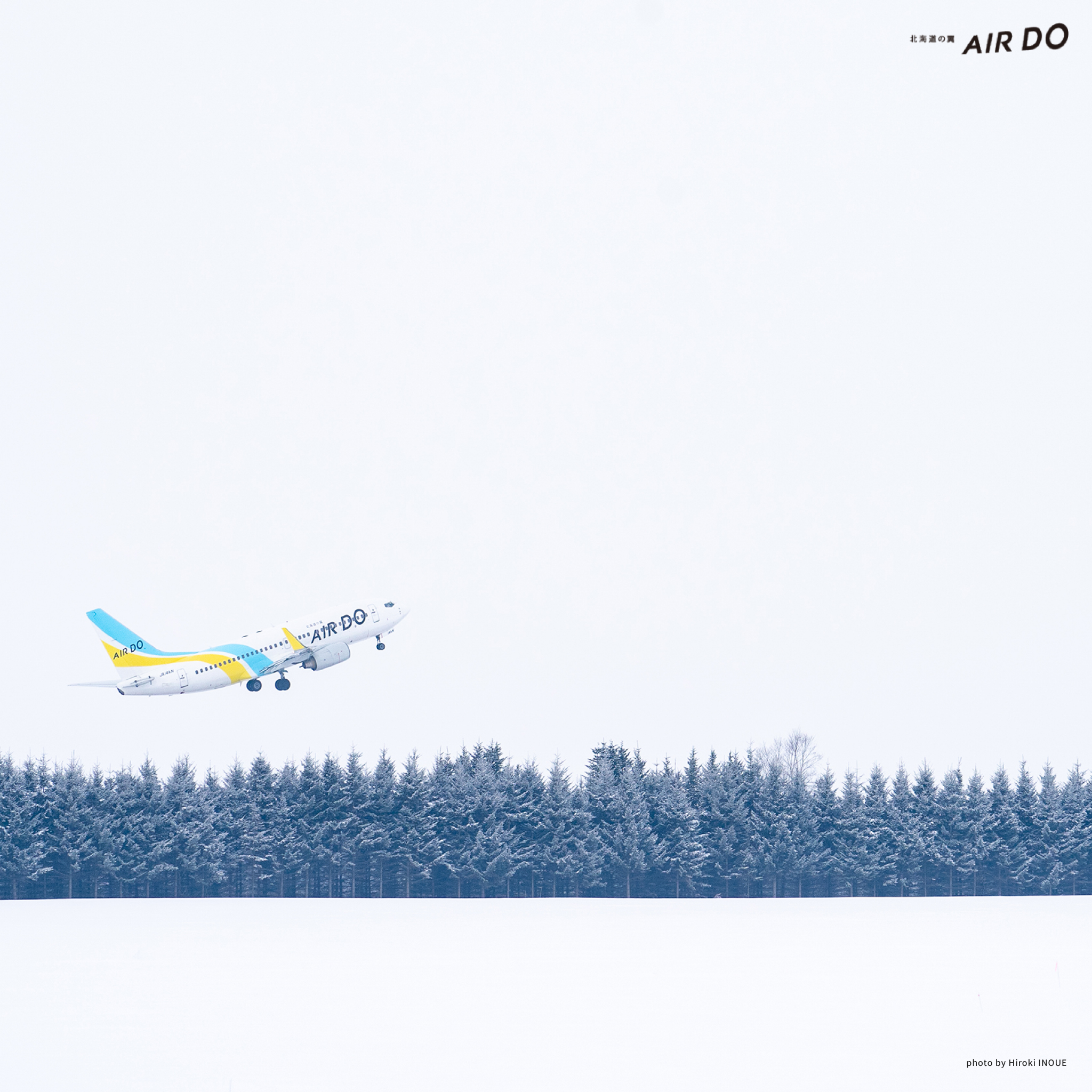 Wallpaper of the Month | Download | Official AIRDO website : Visit ...