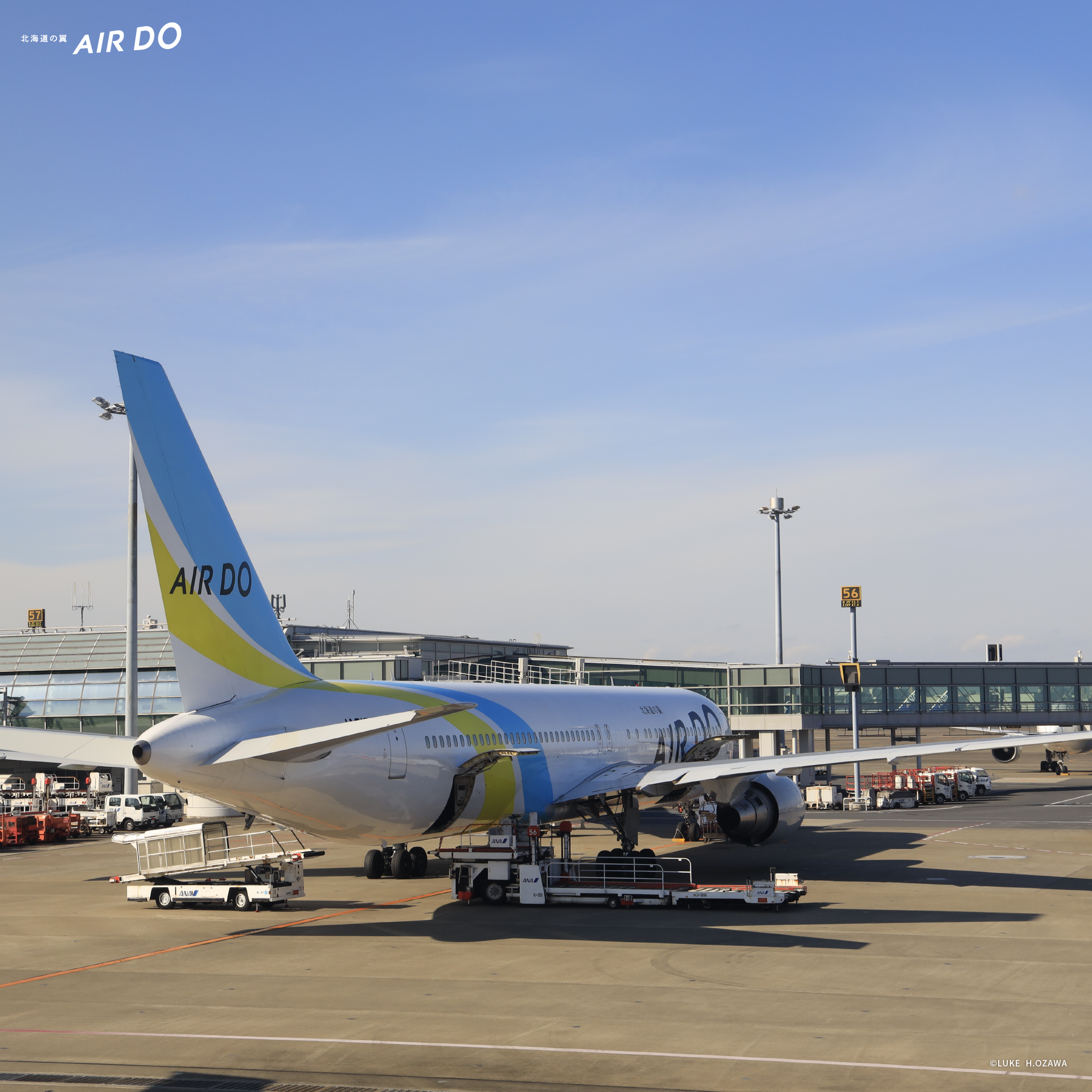 Wallpaper of the Month | Download | Official AIRDO website : Visit ...