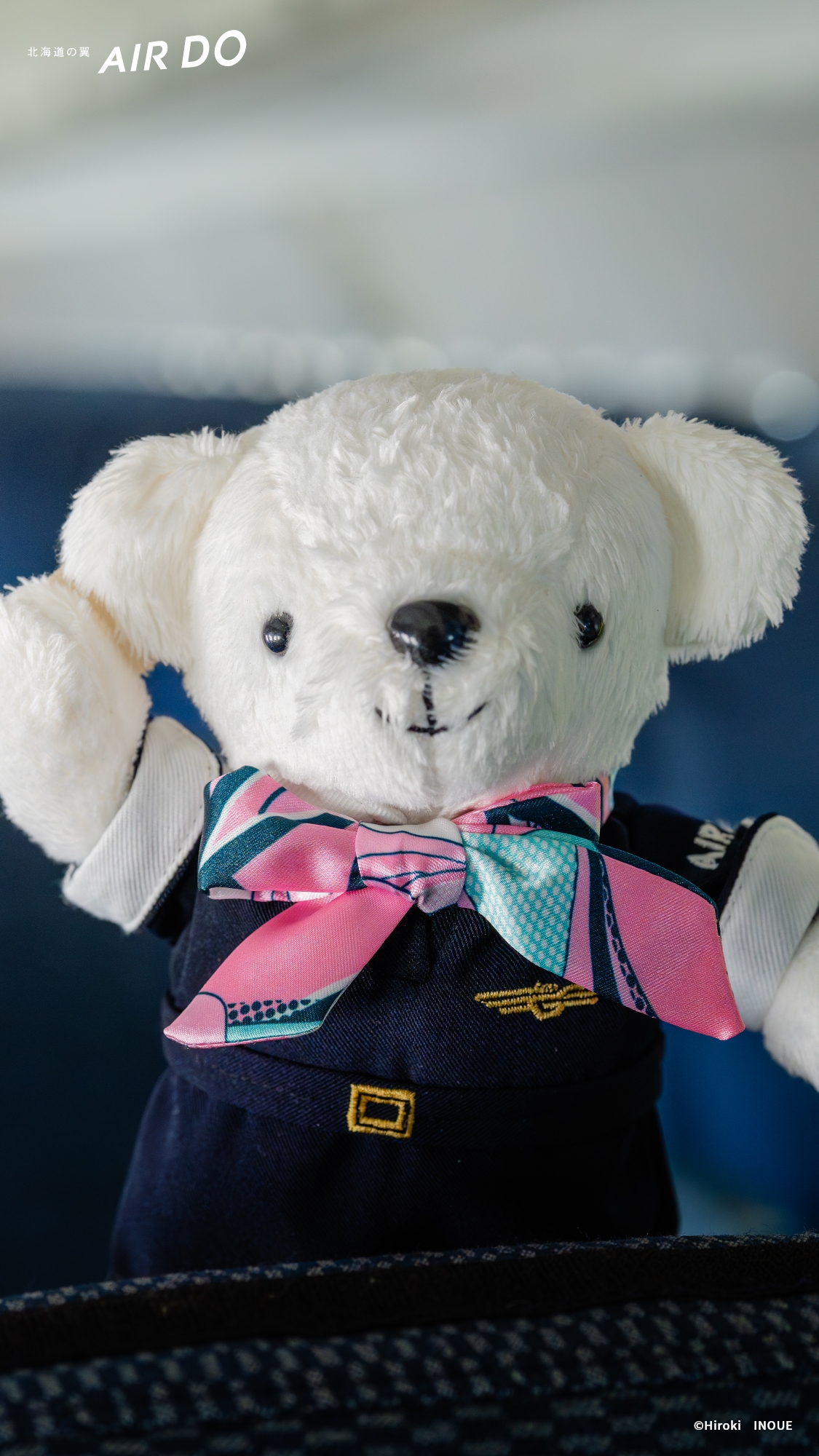 Wallpaper of the Month | Download | Official AIRDO website : Visit ...